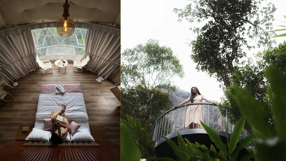 Unwind and Connect with Nature at the Willmount Geodesic Dome in ...